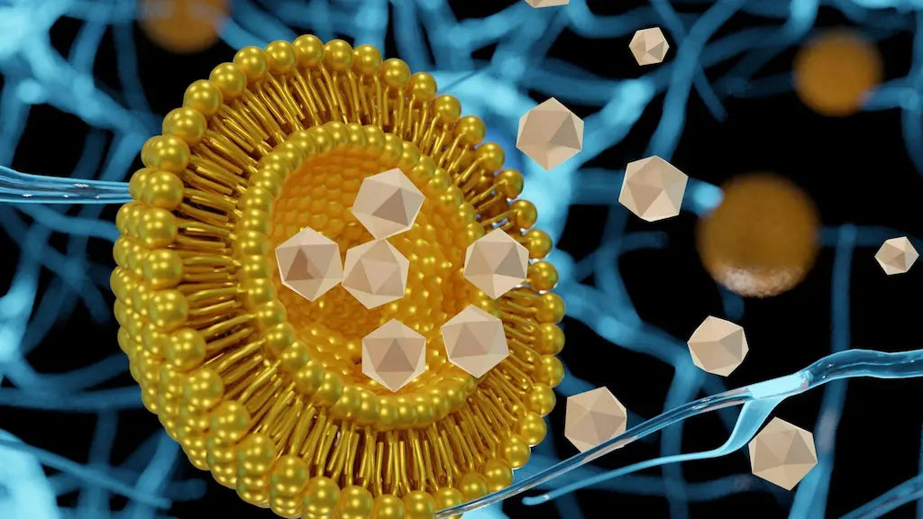 Liposomal NMN Enhances Stability and Skin Delivery – Renue By Science Australia