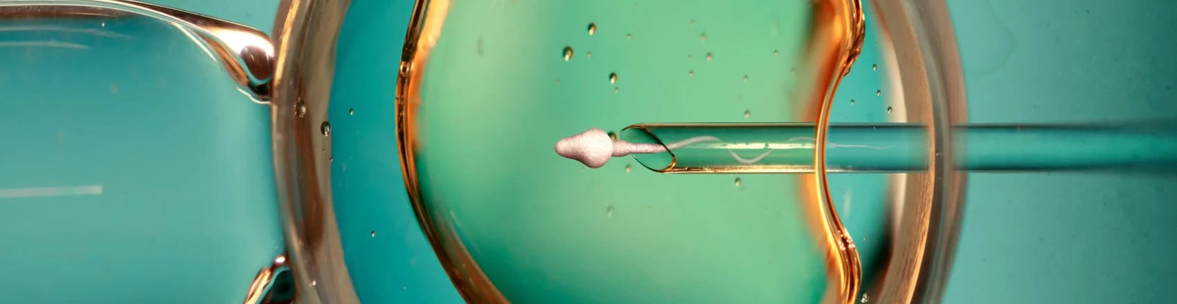 Human Study: IV NAD+ Improves IVF Embryo Quality – Renue By Science ...