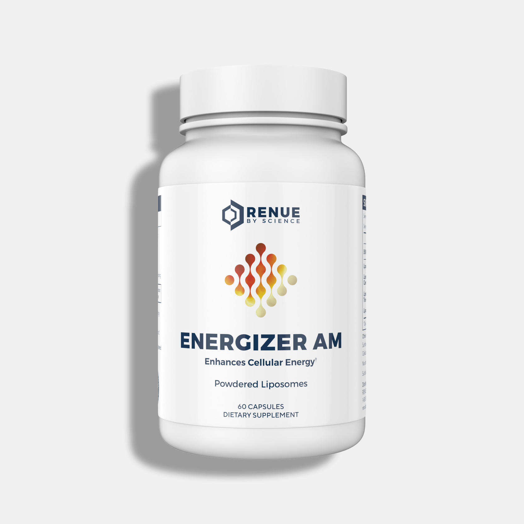 Energizer AM – Renue By Science Australia