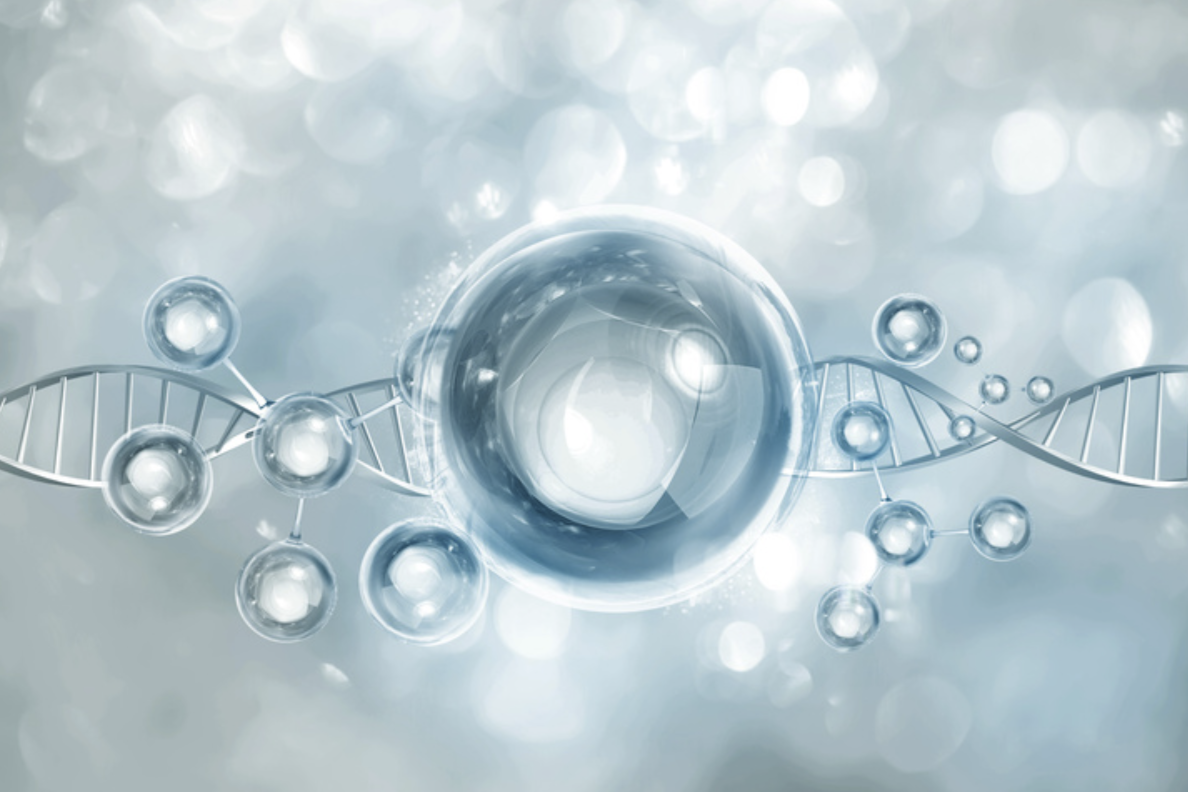 FAQ – Renue By Science Australia